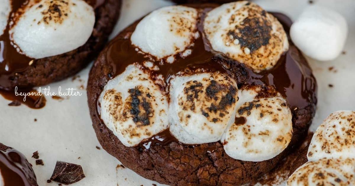 Hot Chocolate Mini Marshmallow Cookies - Beyond the Butter
