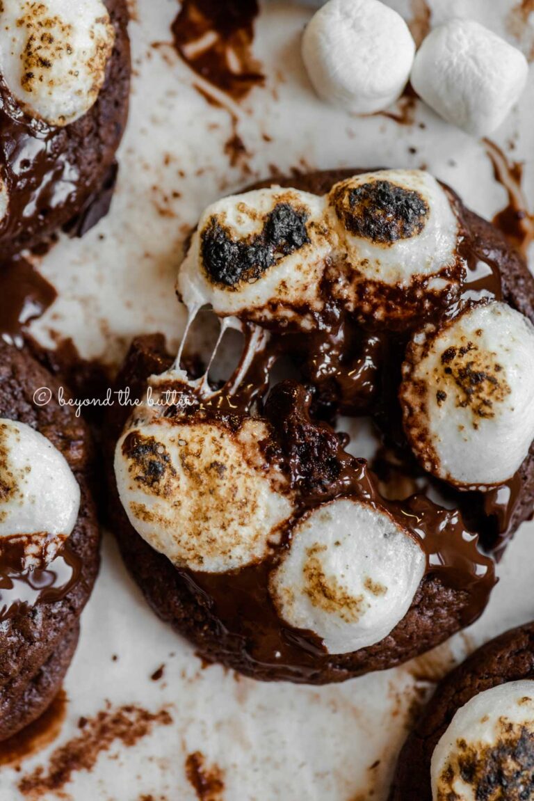 Hot Chocolate Mini Marshmallow Cookies - Beyond the Butter