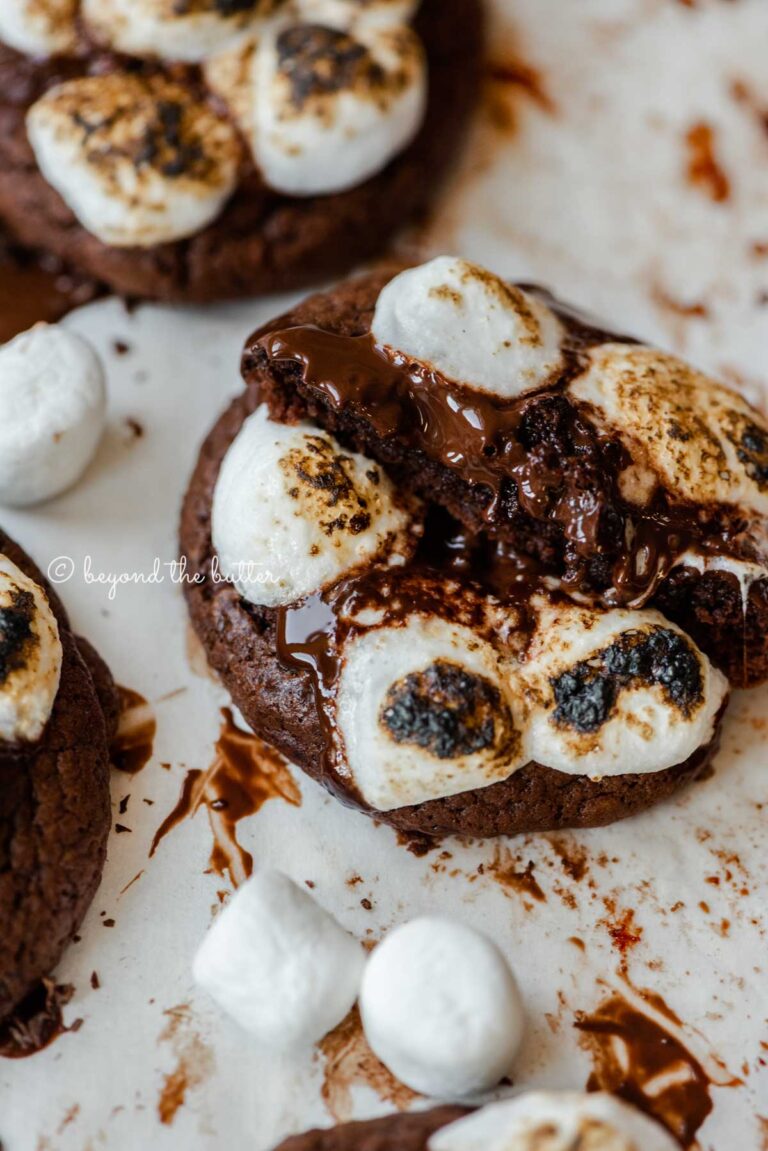 Hot Chocolate Mini Marshmallow Cookies - Beyond the Butter