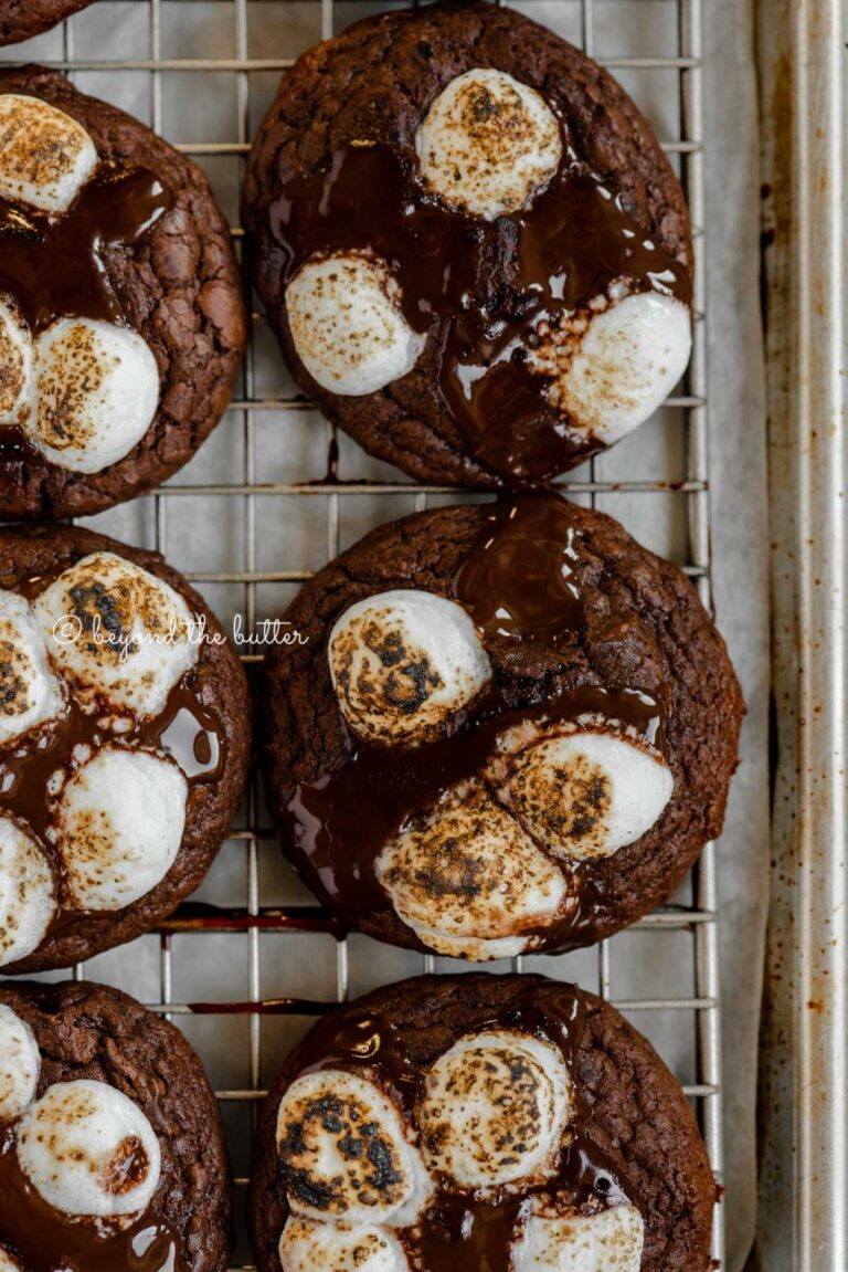Hot Chocolate Mini Marshmallow Cookies - Beyond the Butter