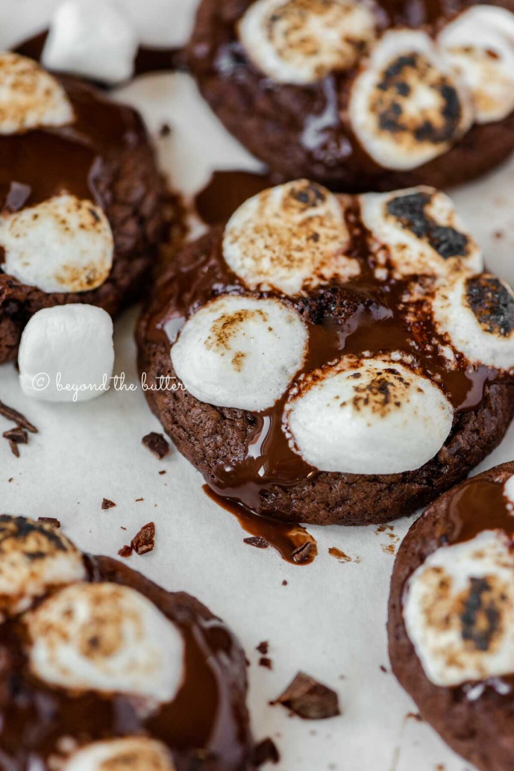 Hot Chocolate Mini Marshmallow Cookies - Beyond the Butter