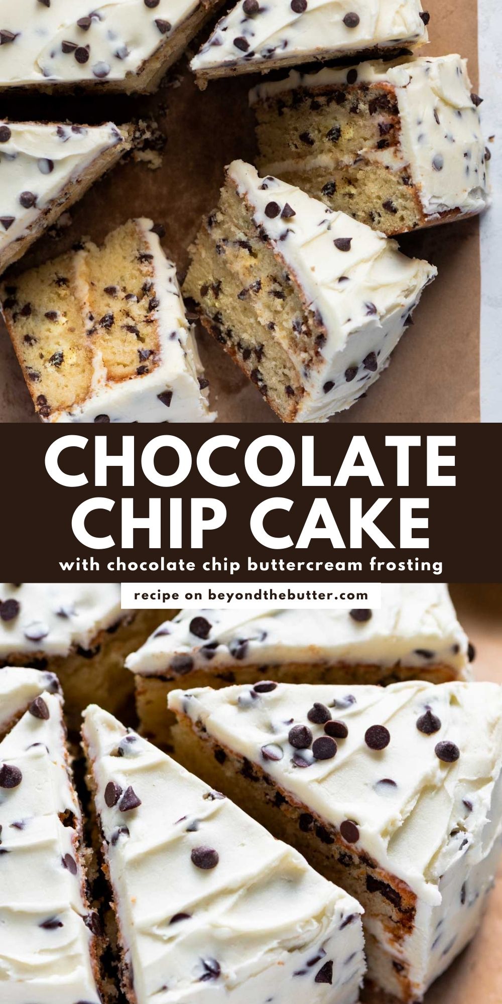 Chocolate Chip Cake - Beyond the Butter