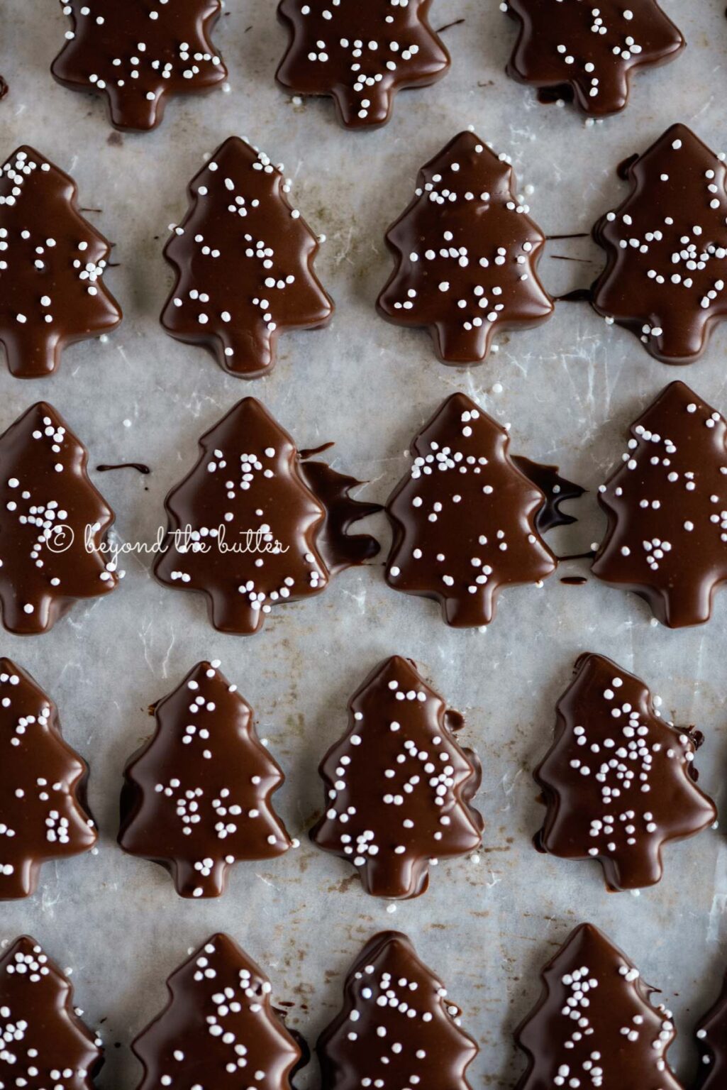 Chocolate Dipped Graham Cracker Cookies - Beyond the Butter