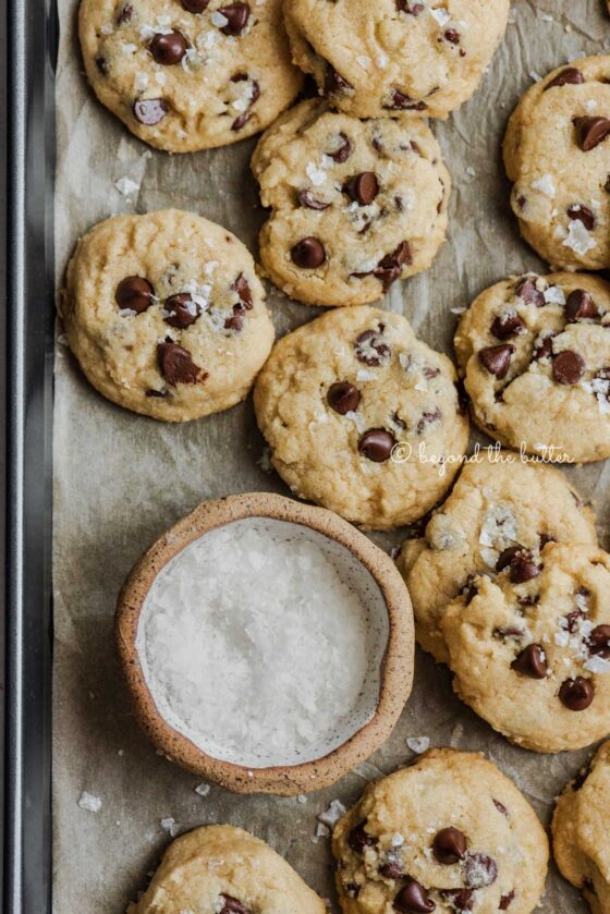 Chocolate Chip Shortbread Cookies - Beyond the Butter