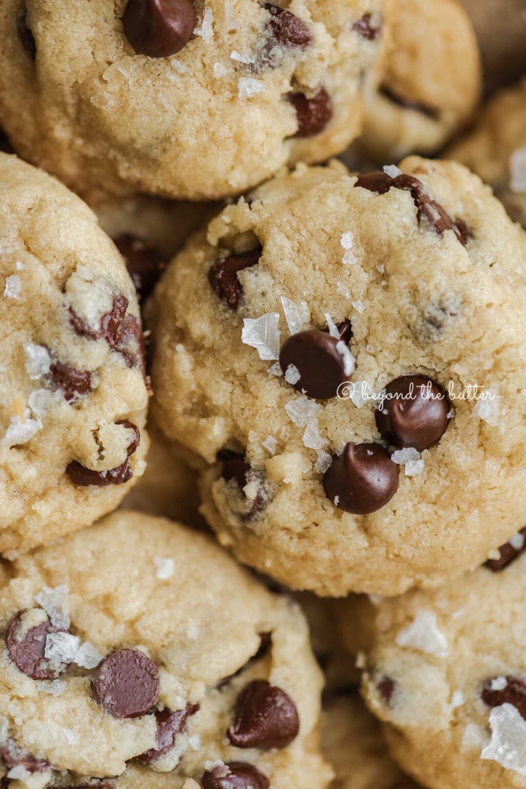 Chocolate Chip Shortbread Cookies - Beyond the Butter