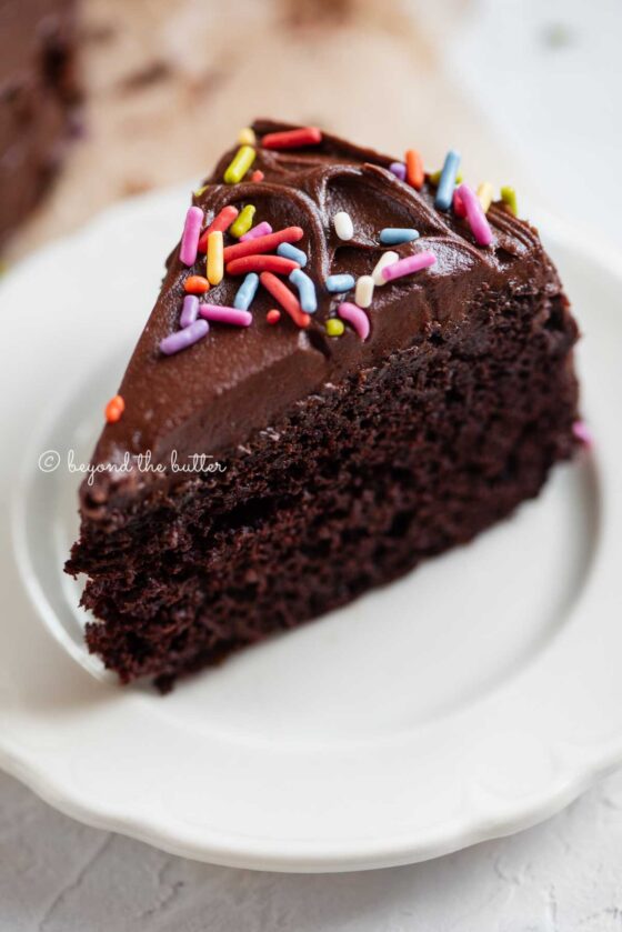 Single Layer Chocolate Cake - Beyond the Butter