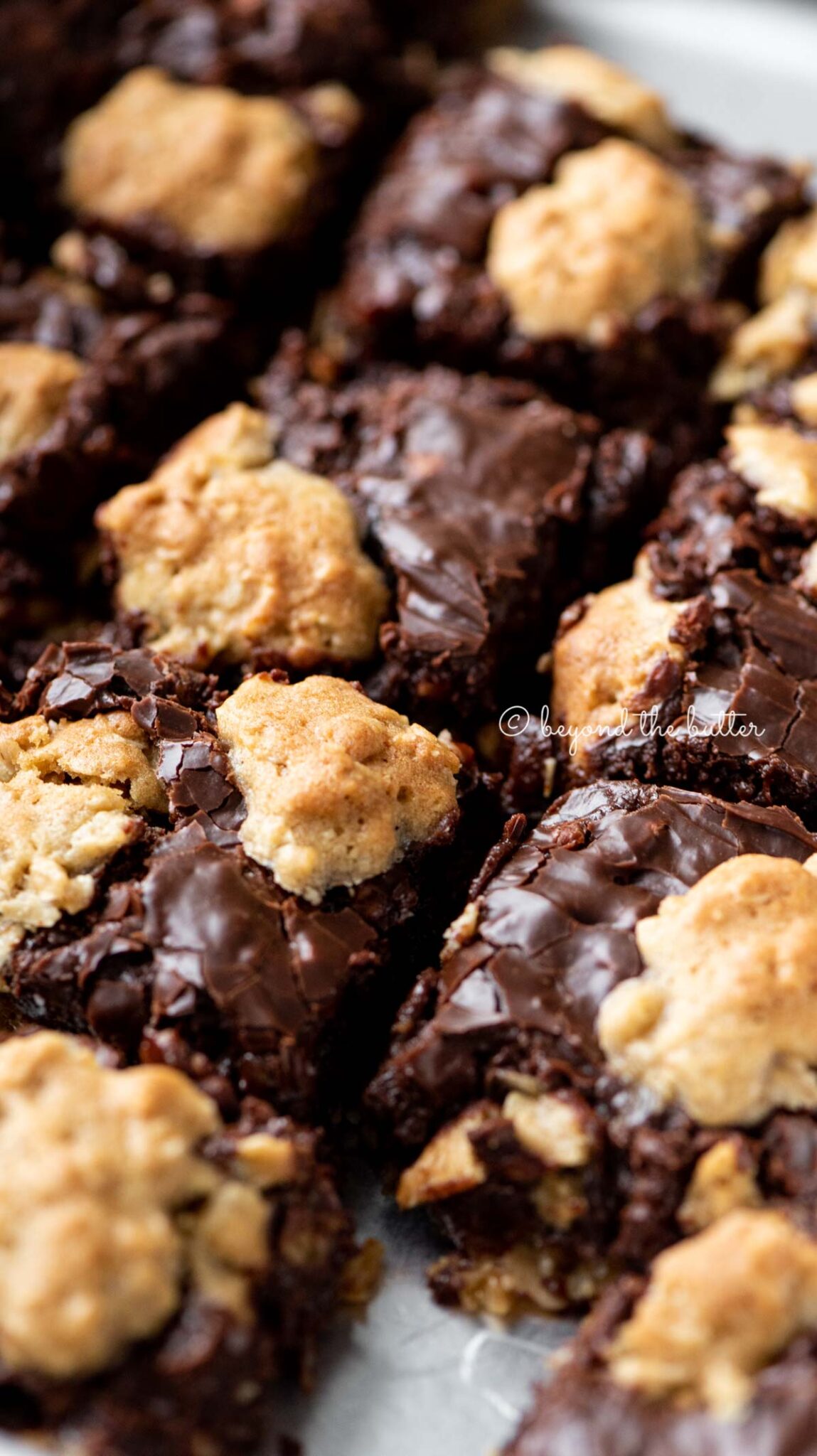 Classic Fudge Nut Bars - Beyond the Butter