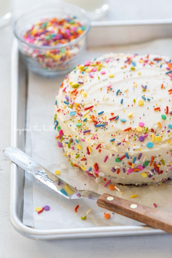 Single Layer Funfetti Cake - Beyond the Butter