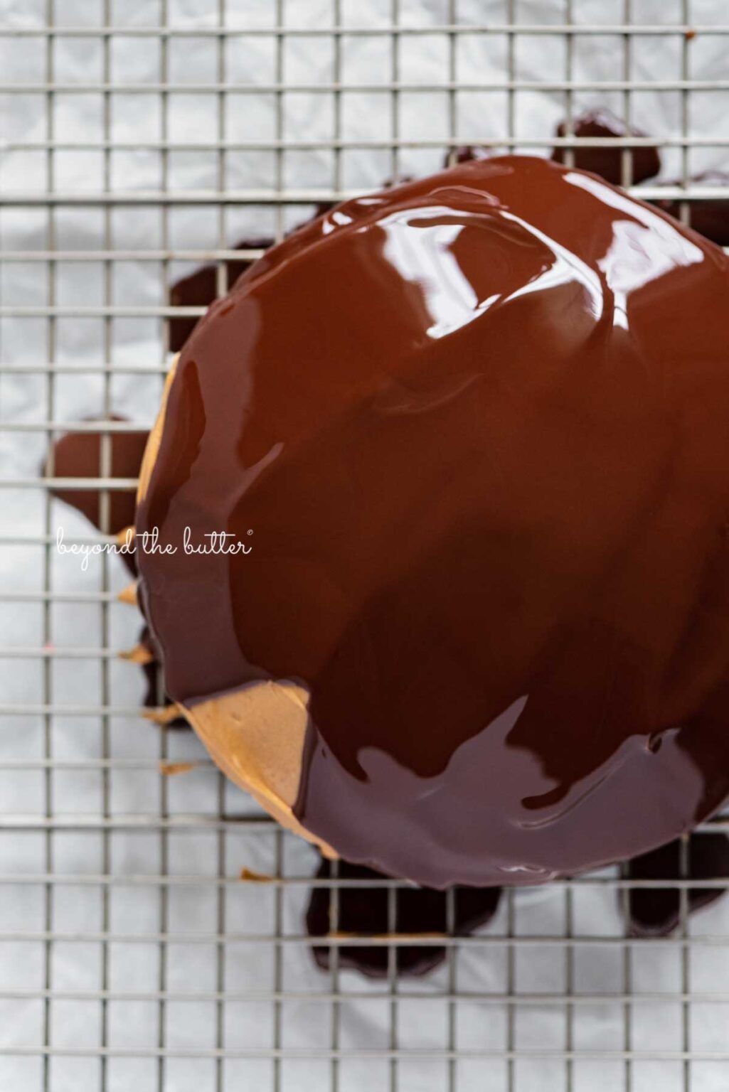 Small Chocolate Peanut Butter Tandy Kake - Beyond the Butter