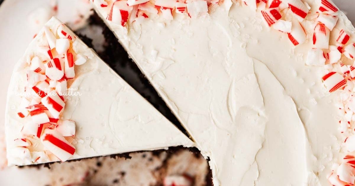 Single Layer Peppermint Chocolate Cake - Beyond the Butter