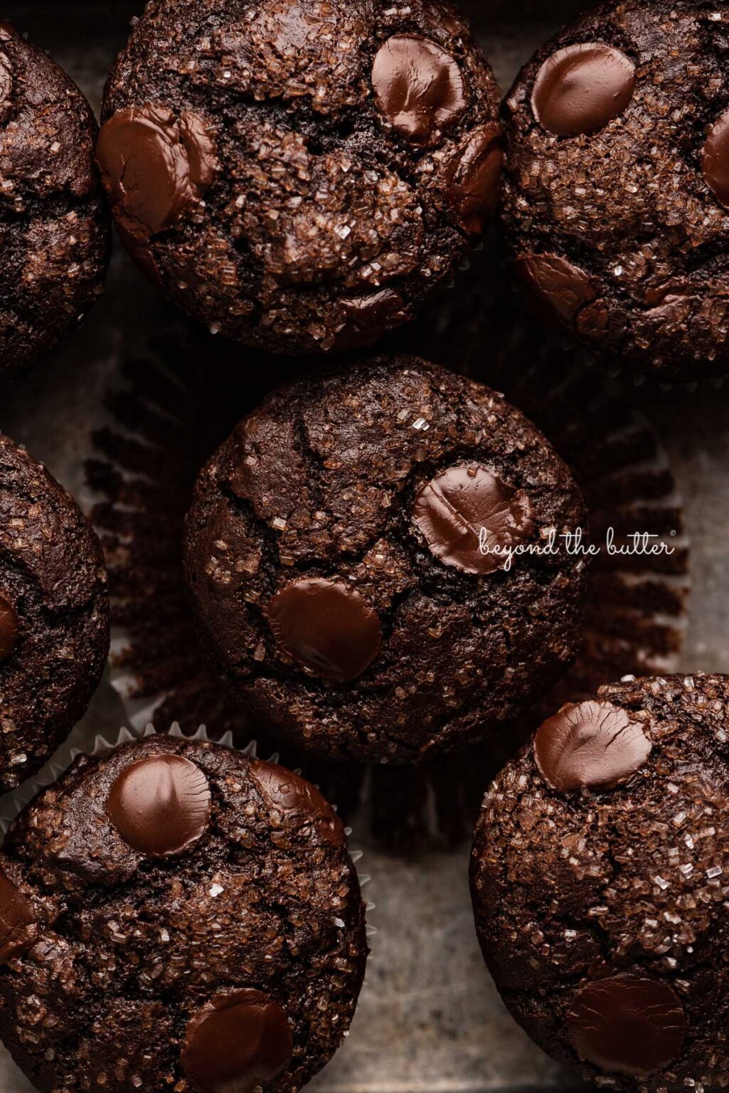 Double Chocolate Muffins - Beyond the Butter