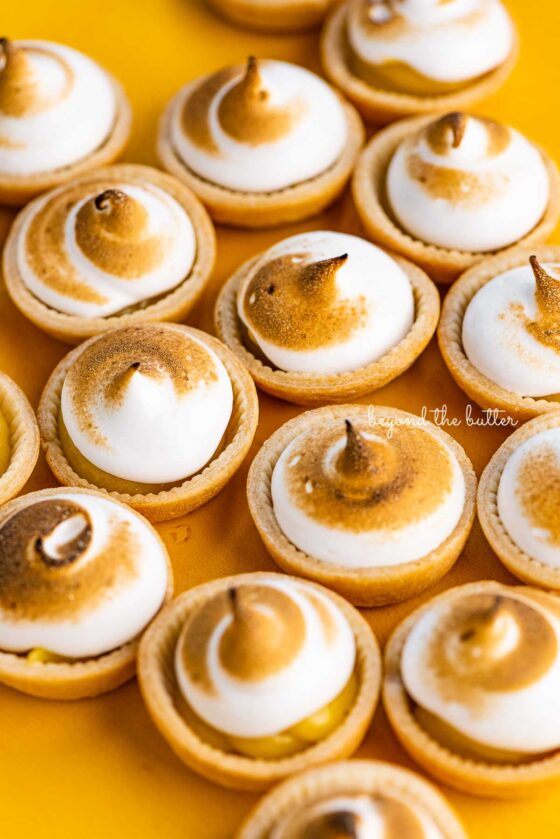 Mini Lemon Meringue Pies - Beyond the Butter