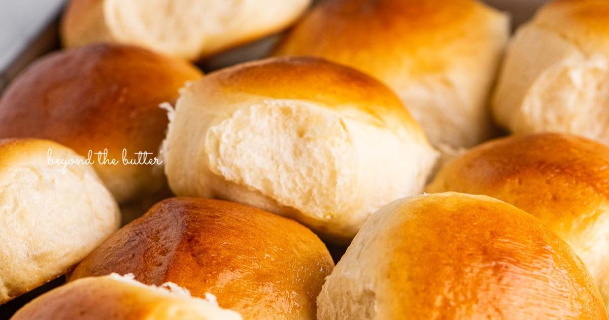 Honey Butter Dinner Rolls - Beyond the Butter