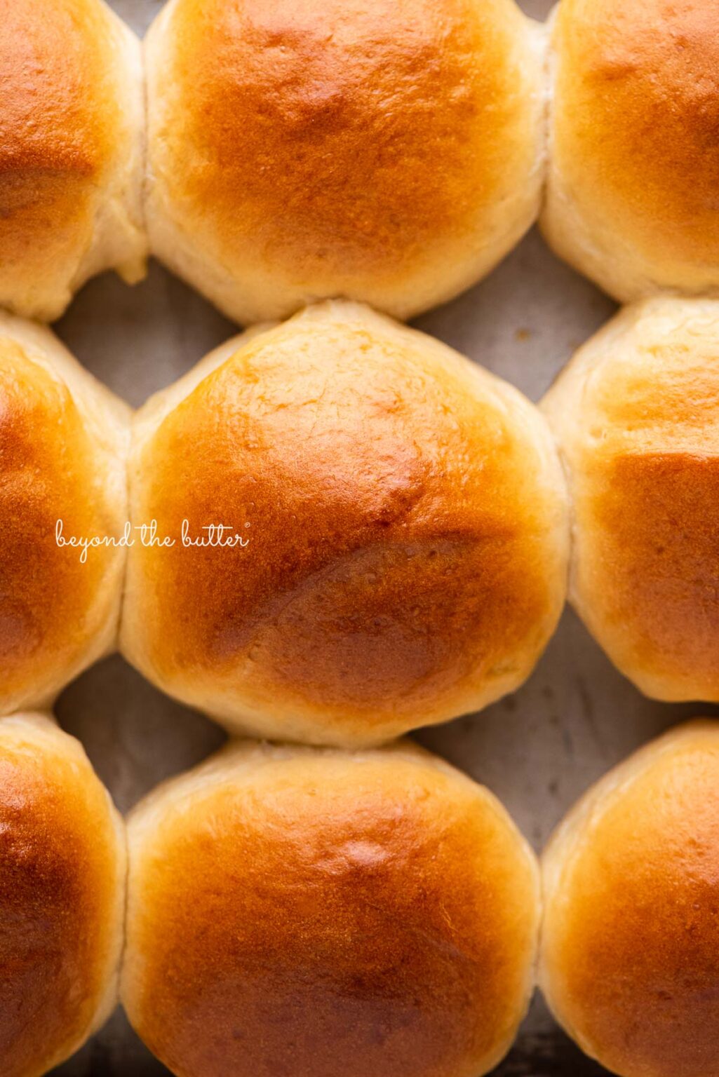 Honey Butter Dinner Rolls - Beyond the Butter